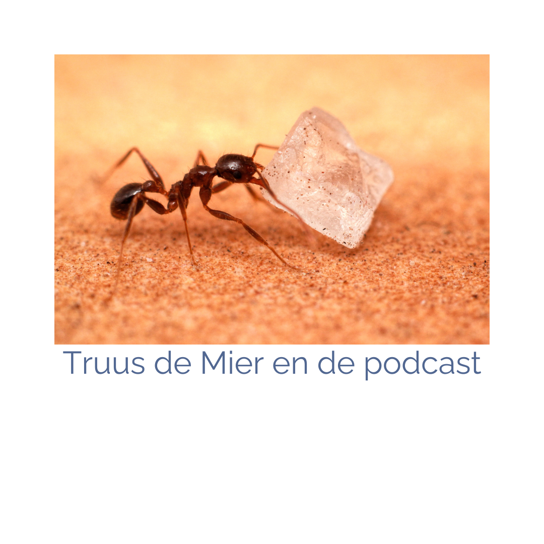 Perfectionisme - Maaike Steeman & Femke Klomp | Psychologische ...